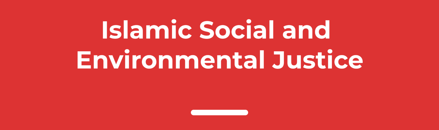 The Specialization Program – MAC – CIC